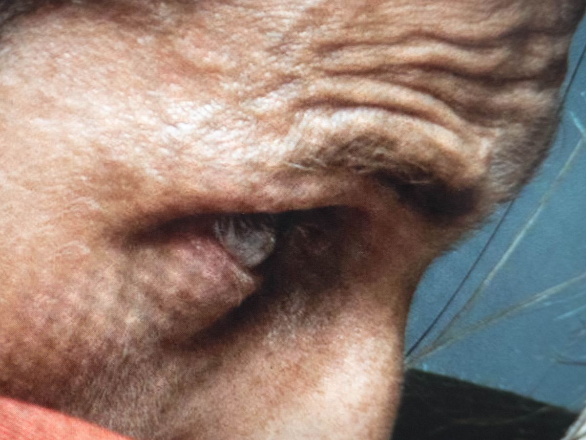 Dell's new 8K monitor is simply jaw-dropping | Windows Central