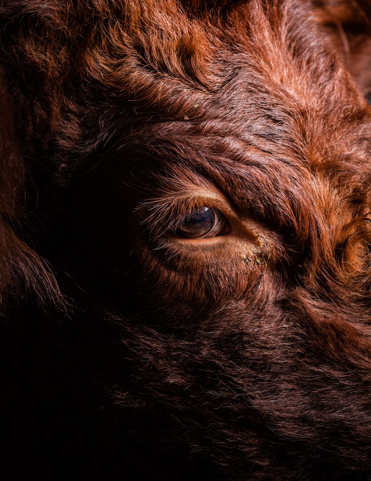 How photographer Amy Bateman went from novice to fully-fledged ...