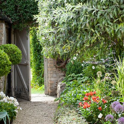 Grassless garden ideas – no-mow alternatives to lawn and turf that are ...