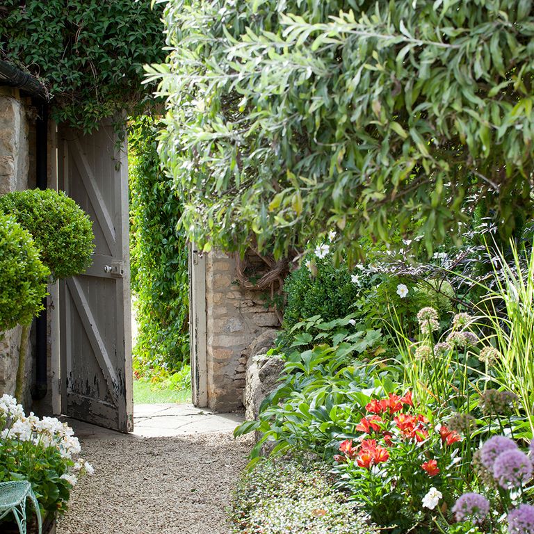 Grassless garden ideas – no-mow alternatives to lawn and turf that are ...