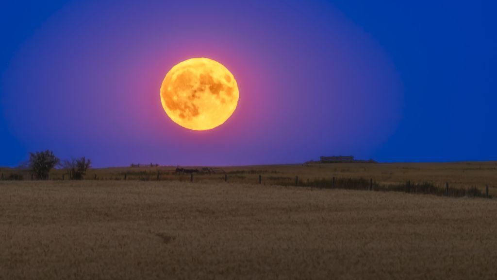 Corn Moon 2025: How to see the final full moon of summer rise during a 'blood moon' lunar ...