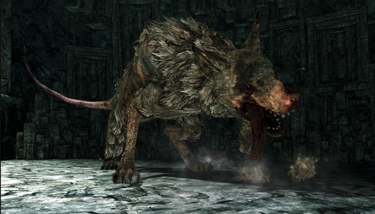 It turns out the gigantic rats you have to kill in so many RPG quests ...