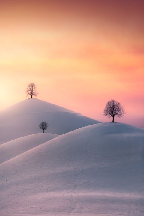 Is this the world's most spectacular photo competition? | Digital ...