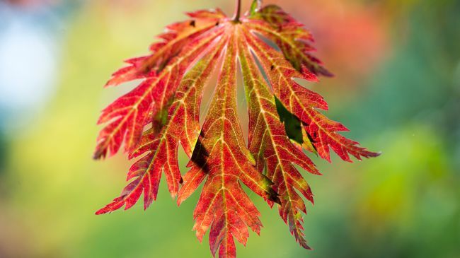 Intermediate Photoshop tutorials - 71 of the best Photoshop tutorials ...