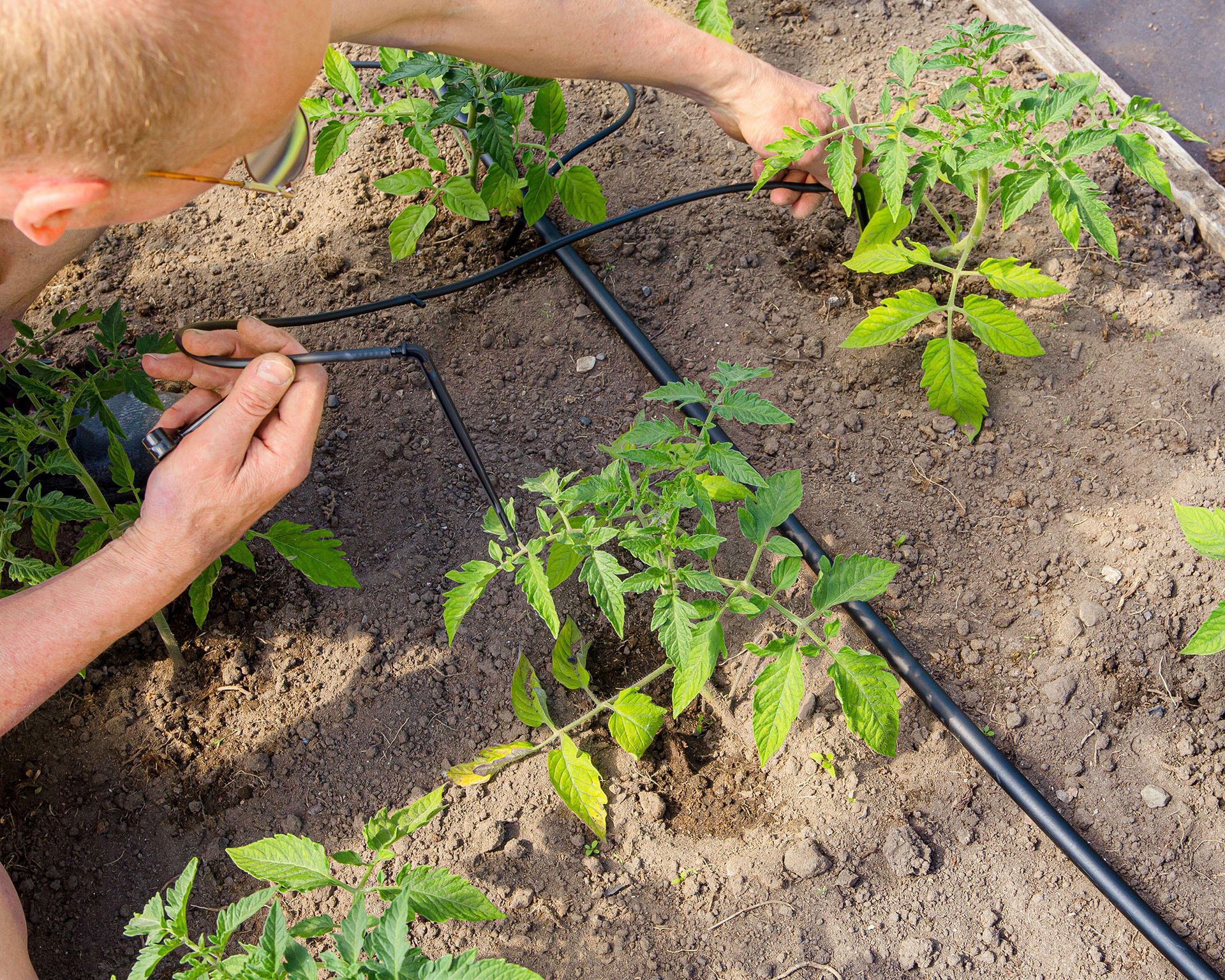 How to make a DIY drip irrigation system for free | Gardeningetc