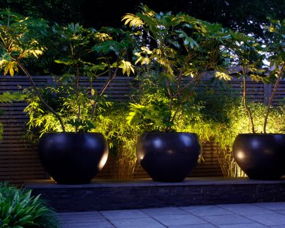 Outdoor tree lighting ideas – 13 practical and stylish ways | Livingetc