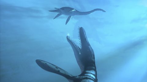 25 of the strangest ancient sea monsters | Live Science