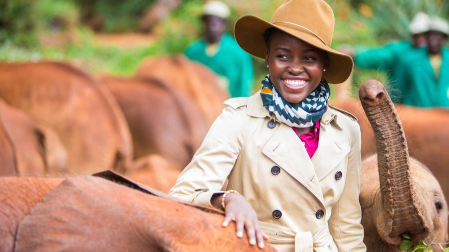 Africa Channel, Multimerica AdEX Delivering Culturally Relevant CTV Ads ...