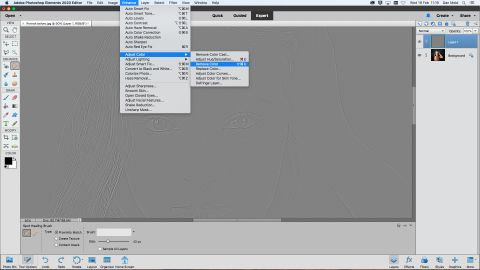 How to sharpen an image in Photoshop Elements | Digital Camera World