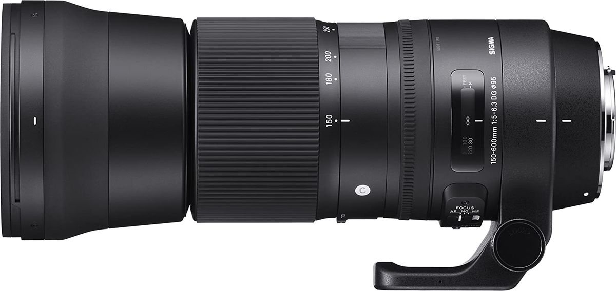 I really don't see the appeal of 150-600mm lenses | Digital Camera World