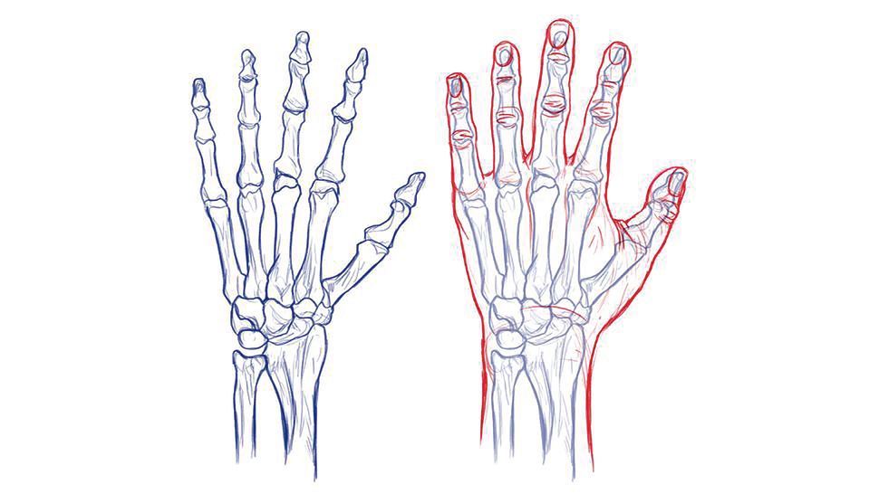 Learn these easy steps to draw detailed hands | Creative Bloq