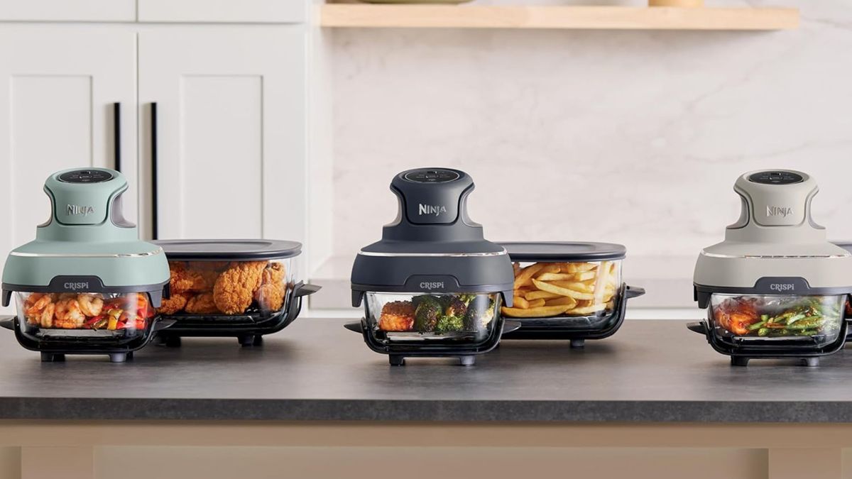 Ninja just released an air fryer so portable you can take it to the ...