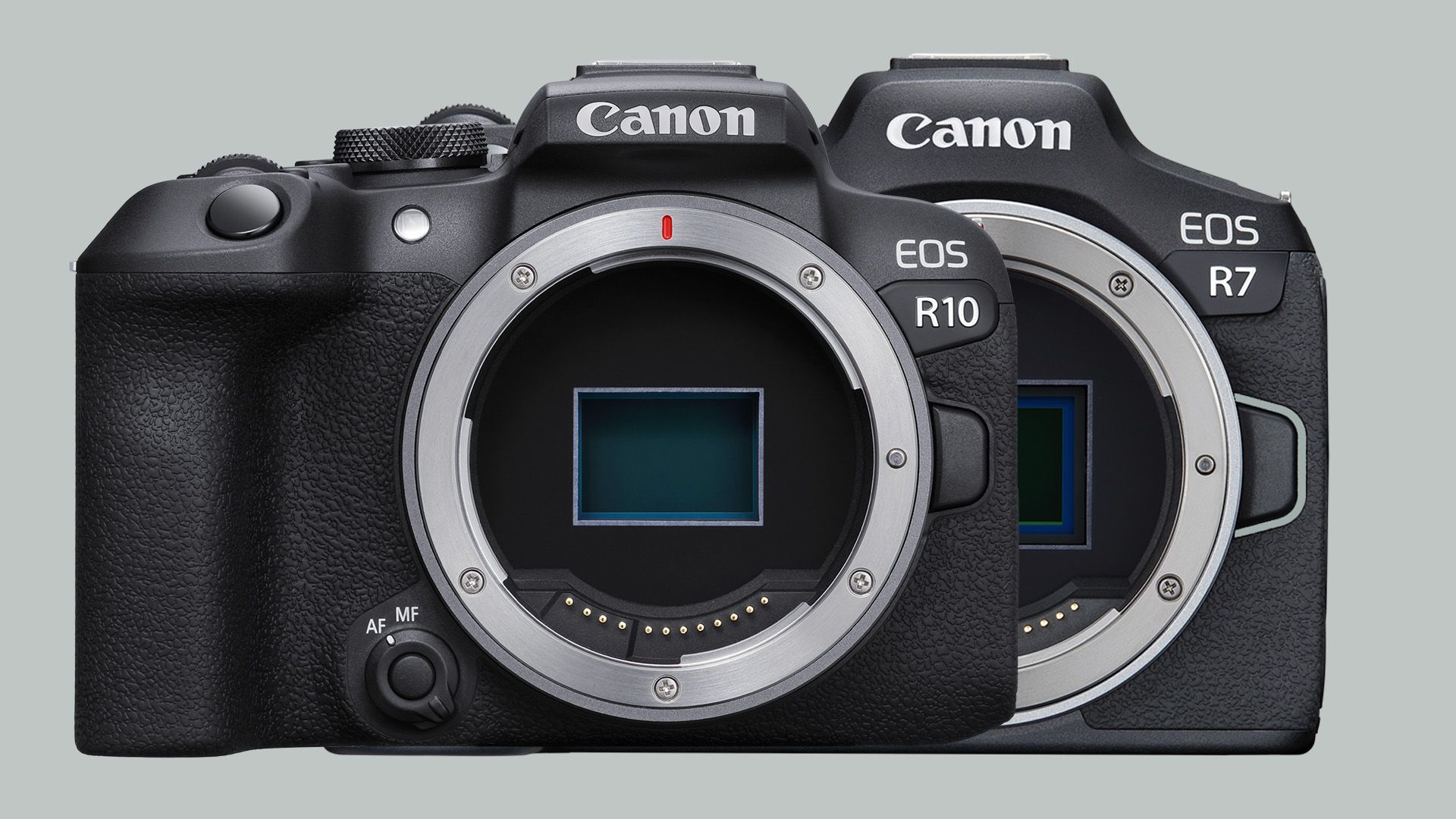 Canon EOS R7 vs Canon EOS R10: which mirrorless camera should you buy ...