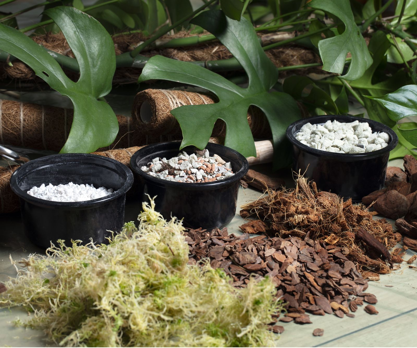 How to make monstera potting mix: a DIY recipe | Homes and Gardens