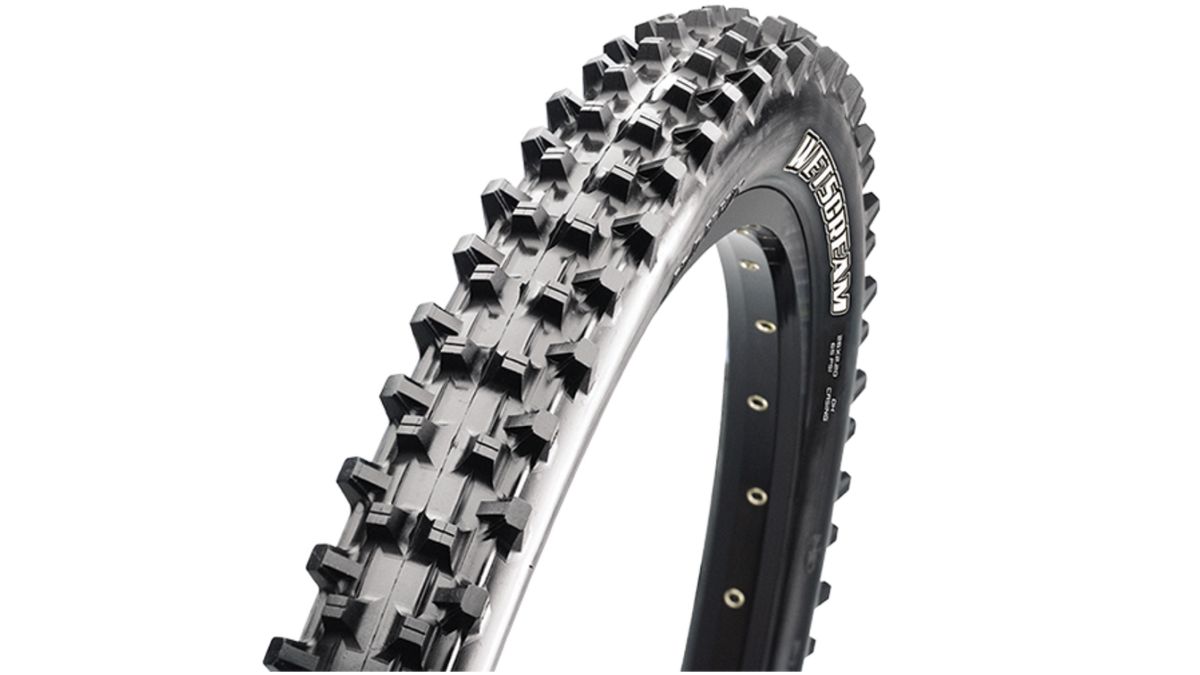 Maxxis MTB tire guide 2024 – a deep dive into every Maxxis mountain ...