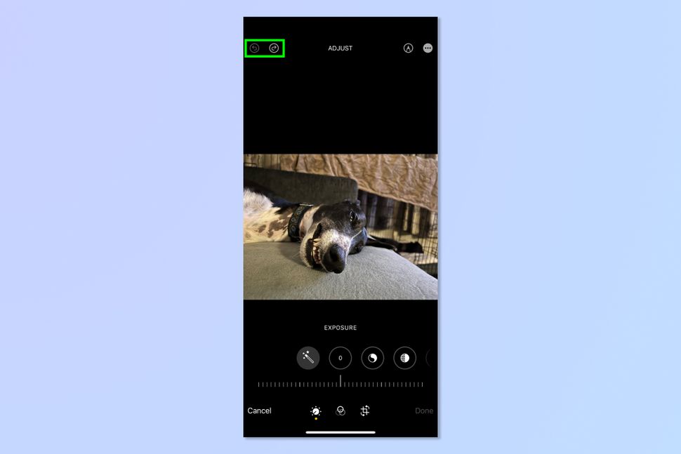 How to quickly undo edits in iOS Photos | Tom's Guide