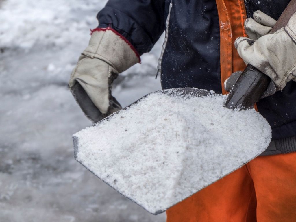 Salt Damage On Lawns And Garden - How To Fix Or Reverse Salt Damage ...
