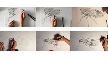 Es Devlin’s spiritual ode to biodiversity at Tate Modern | Wallpaper*