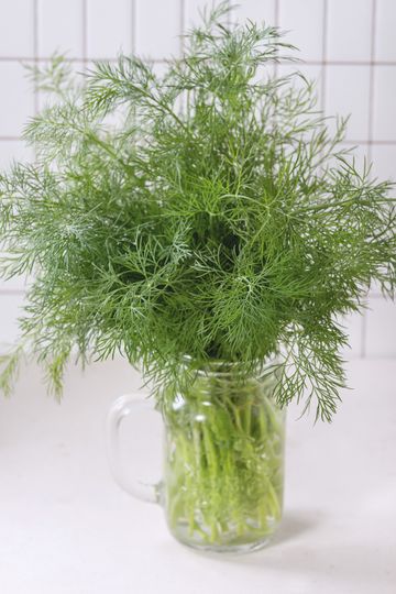 How to prune dill | Homes and Gardens