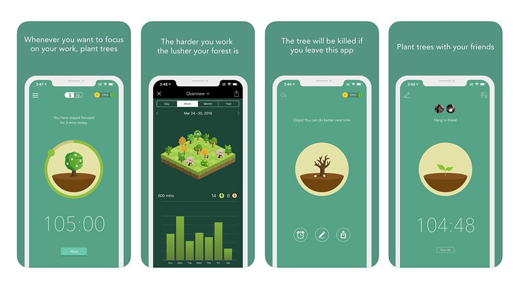 How to have a digital detox and stop checking your phone all the time ...