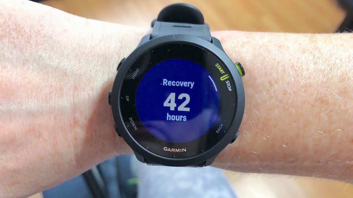 Garmin Forerunner 55 review: The best running watch for beginners | Tom ...