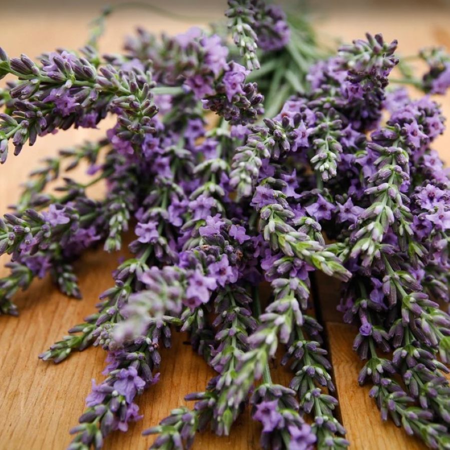 5 easy ways to turn your patio into a calm relaxing oasis | Livingetc