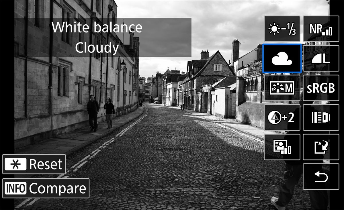 There's much more to reviewing your shots on a Canon camera than just ...
