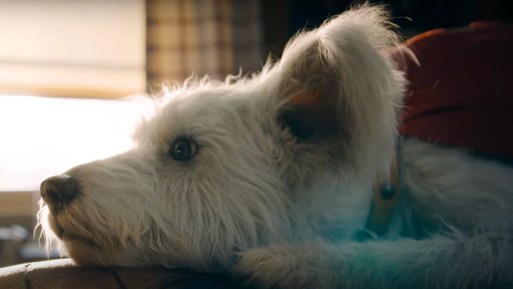 Even If You've Seen Superman, You Need To See It Again In 4DX | Cinemablend