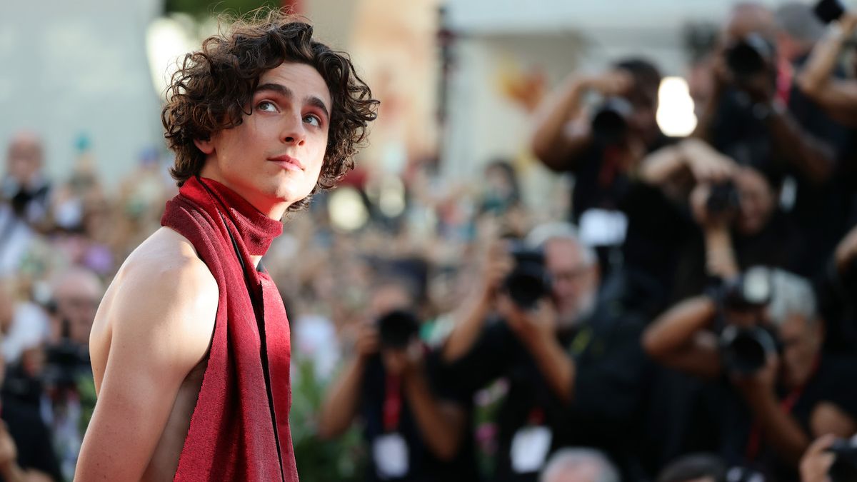 Timothée Chalamet: the making of a global superstar | The Week