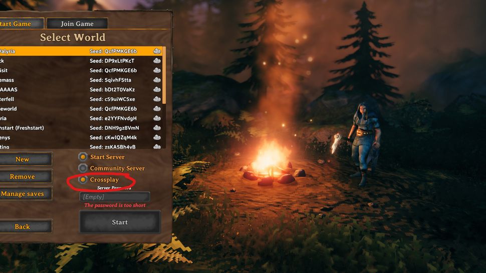 Valheim crossplay: How it works | PC Gamer