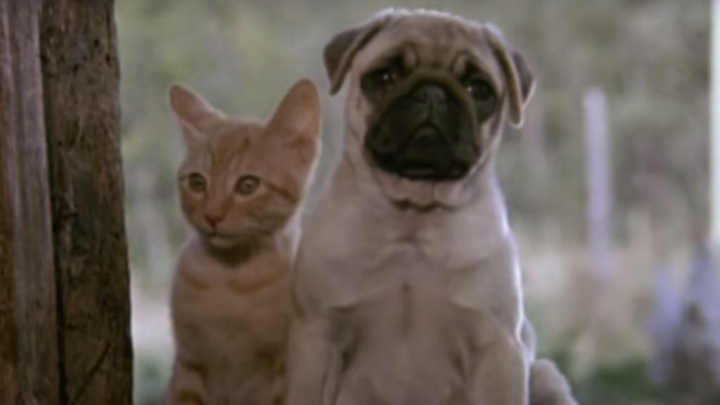 32 Times A Dog Ended Up Saving The Day In Movies And TV Shows | Cinemablend