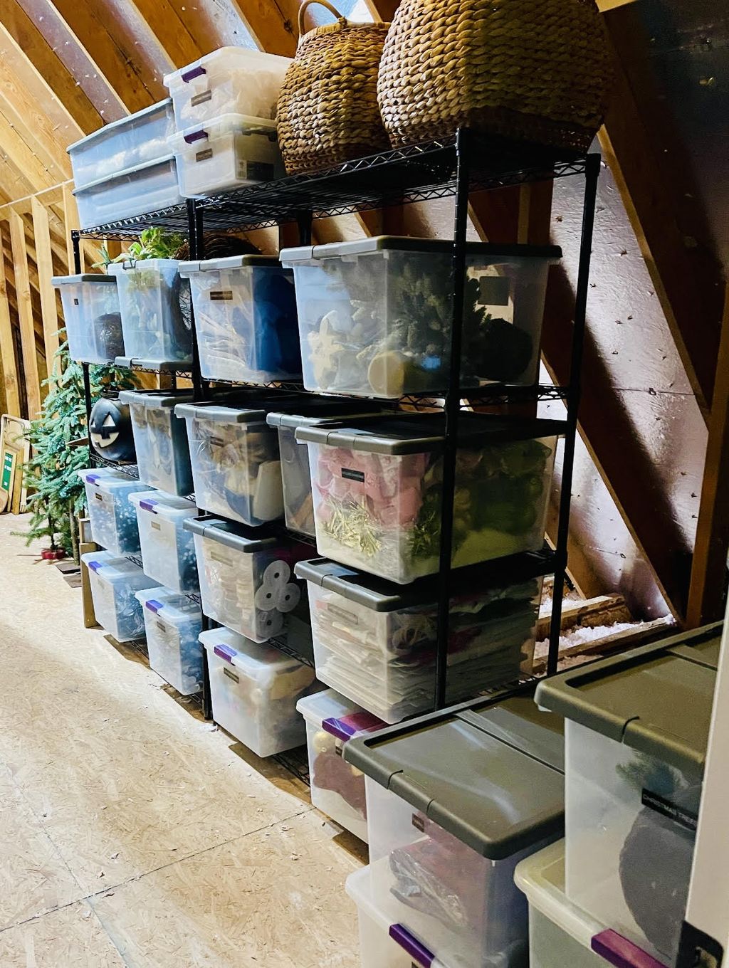 Homeowners Urged to Ditch This Toxic Holiday Item | Homes and Gardens