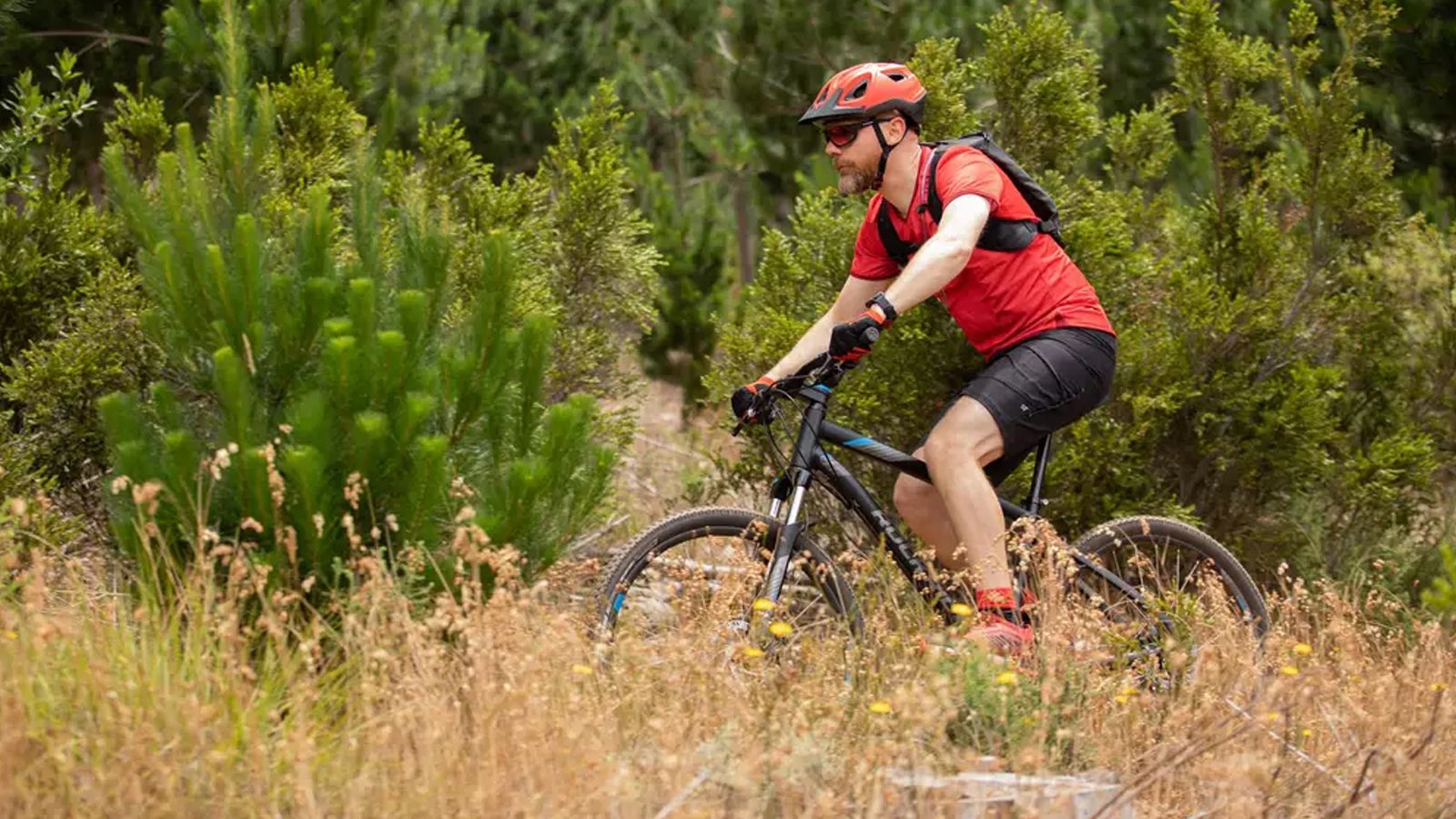 Best mountain bikes under £300 | Bike Perfect