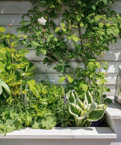 What do I put on the bottom of a raised garden bed? | Homes and Gardens