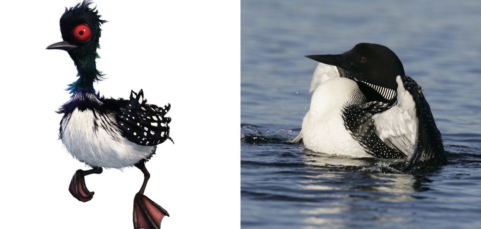 Photos: Meet 'Finding Dory' Real-Life Counterparts | Live Science