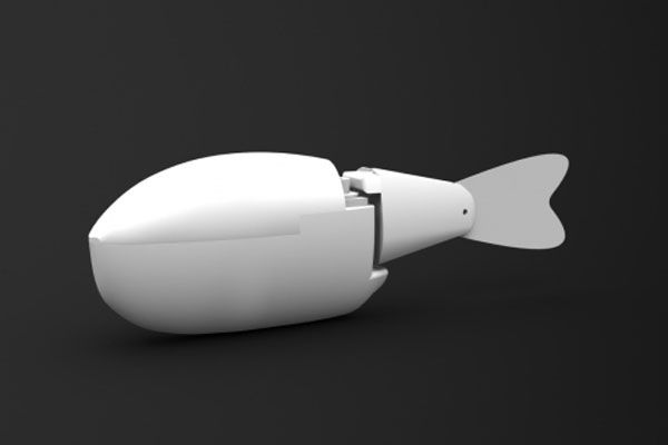 Robot Fish Leads the School | Live Science