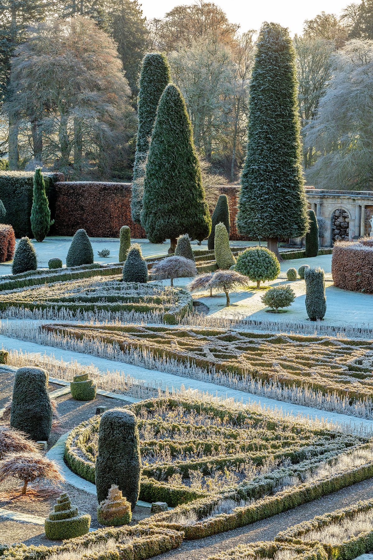 Drummond Castle Gardens in winter: The winter beauty of the gardens ...