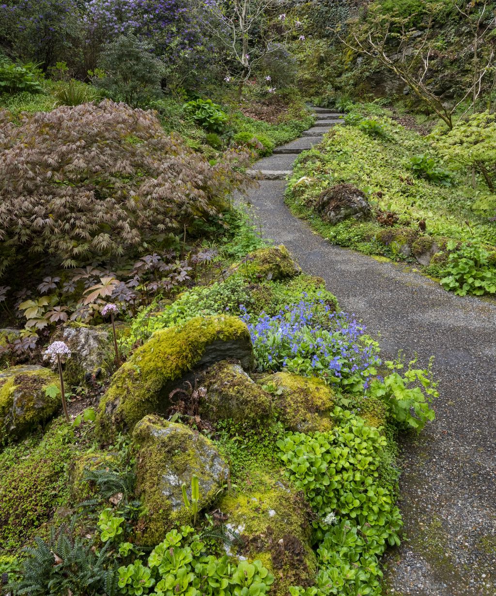 How to landscape with moss in your yard: 5 inspiring ideas | Homes and ...
