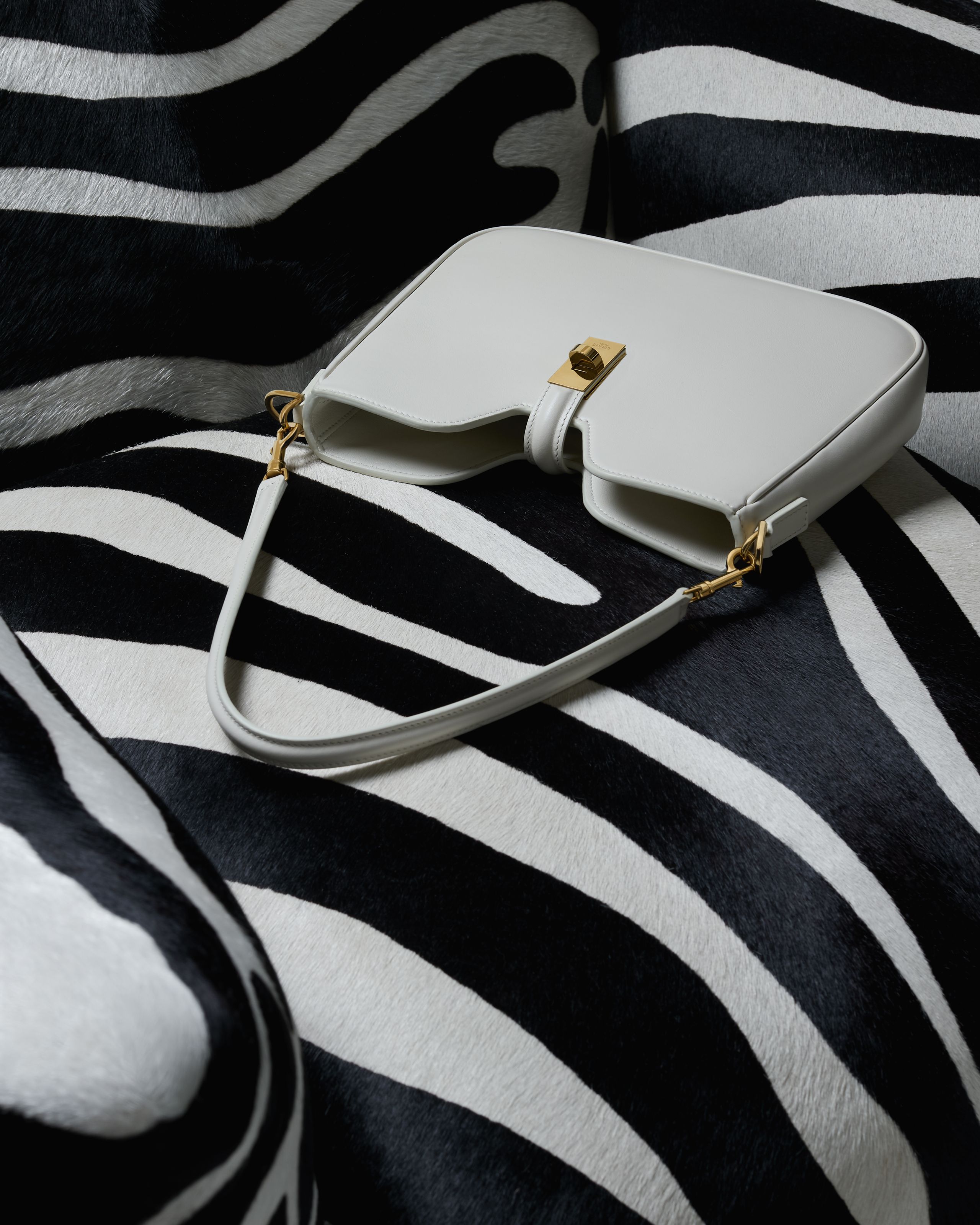 The One: Celine's Camille 16 bag is already a celebrity favourite ...