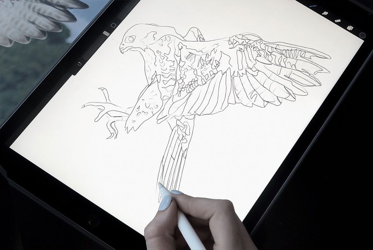 How to use digital tools to create a hand-drawn look | Creative Bloq