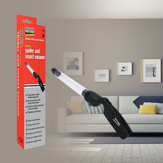 How to get rid of spiders in the house and stop them coming back ...