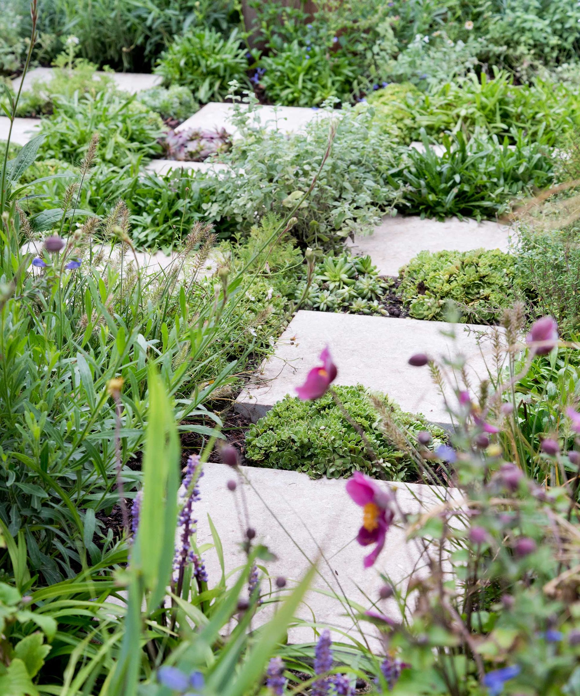Garden path ideas: 33 pretty and practical walkways for your yard ...