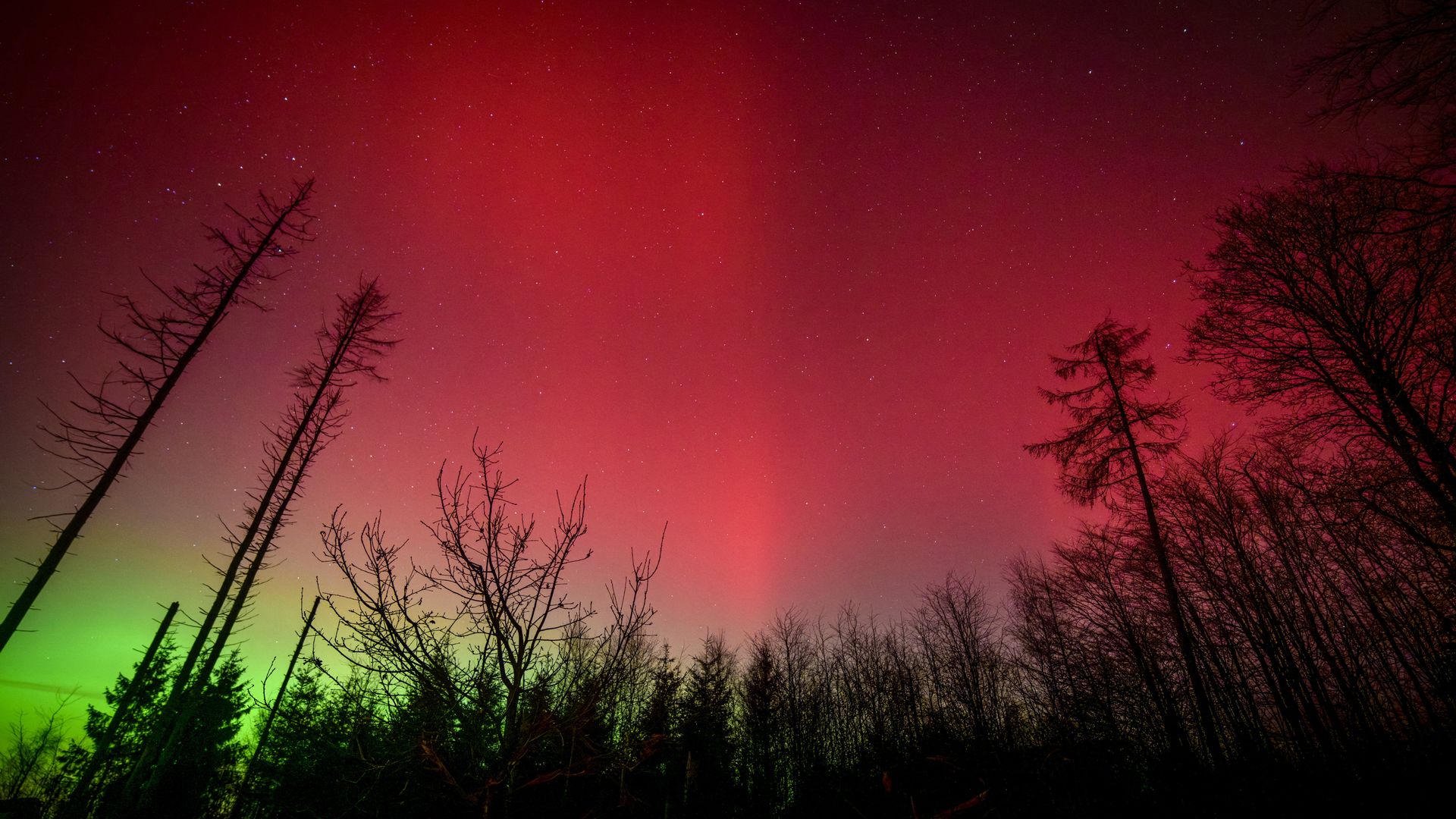 A major solar storm brought the aurora farther south than normal. But ...