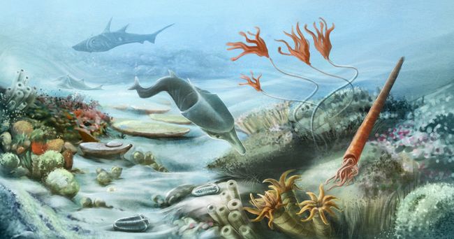 Paleozoic Era: Facts & Information | Live Science