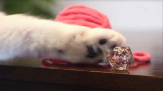 Hero Forge custom dice Kickstarter is live, and will let you design ...