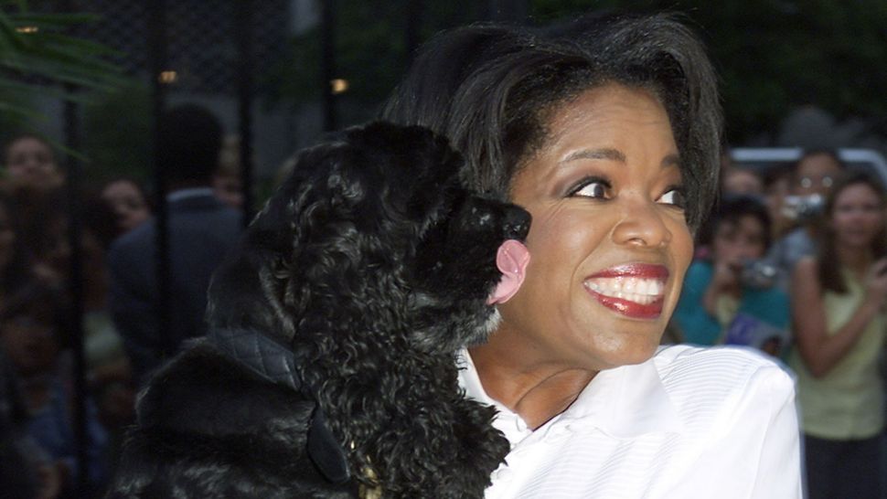 Oprah's dogs will inherit a $30 million fortune - here's why | PetsRadar