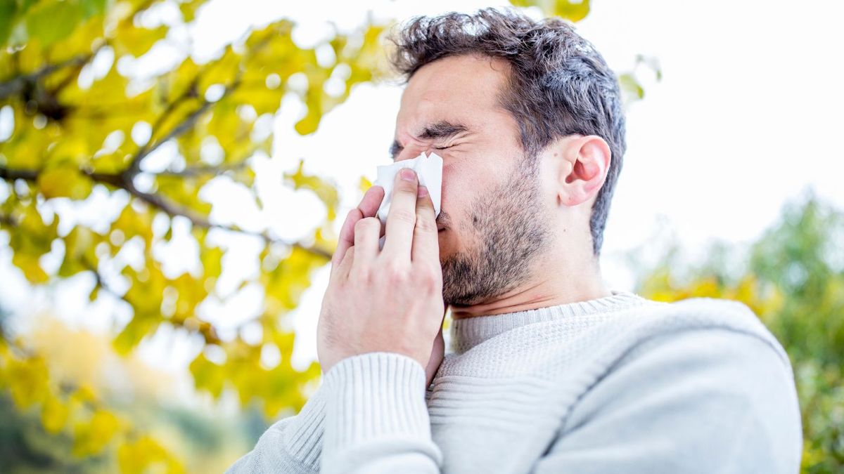 Why is the hay fever season so bad in 2023? | The Week