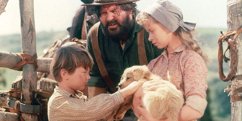 The 10 Best Dog Movies Ranked, Including Togo | Cinemablend