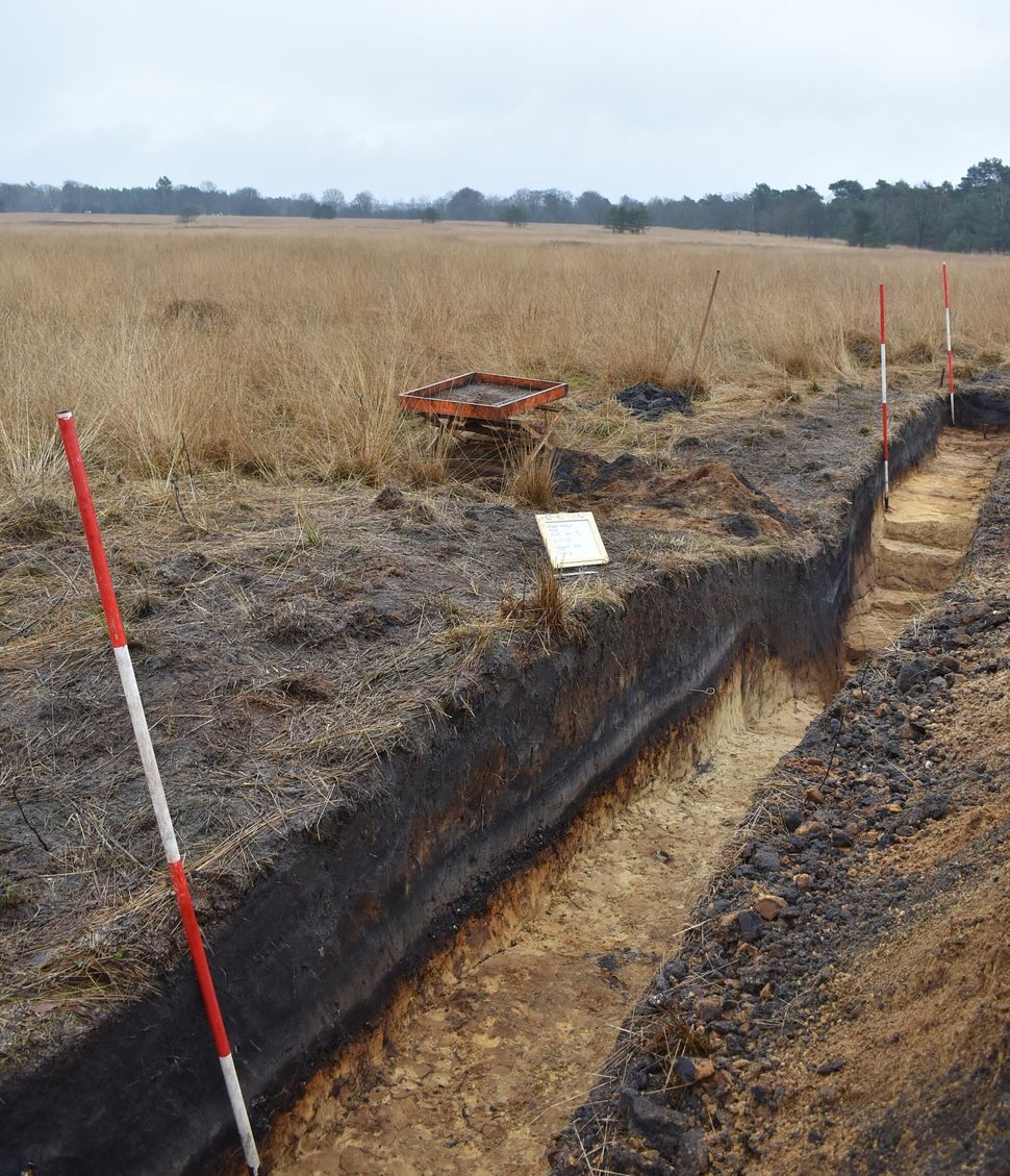 Roman army camp found in Netherlands, beyond the empire's frontier ...