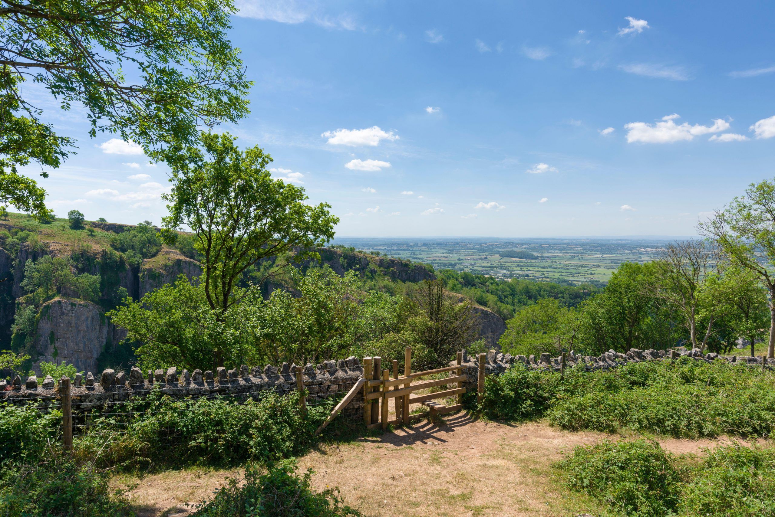 The Three Horseshoes Batcombe review: Touring motorists need more pubs ...